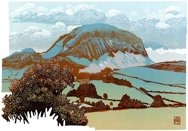 Laura Boswell - Printmaker