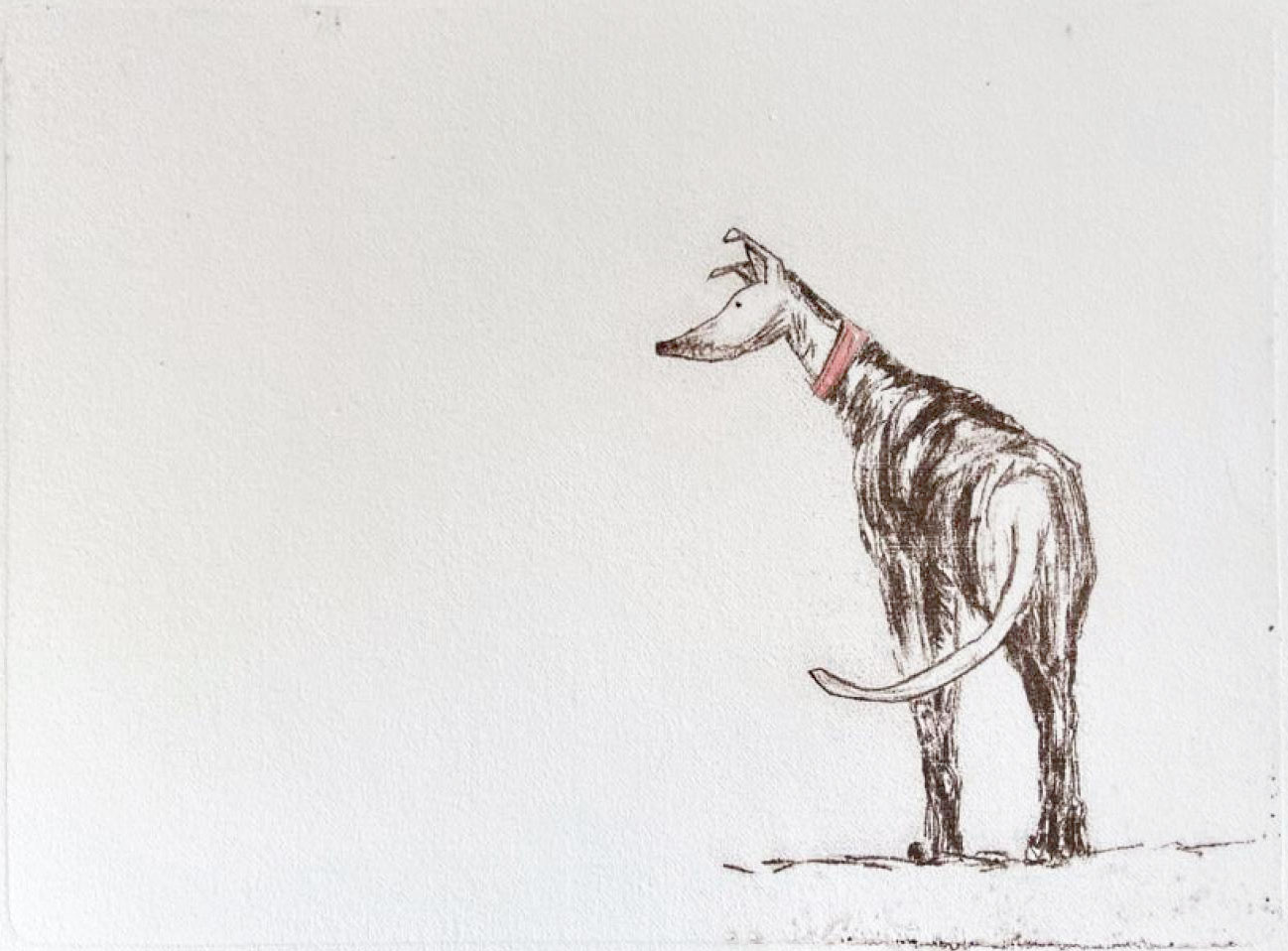 Laura Boswell - Printmaker - Print gallery