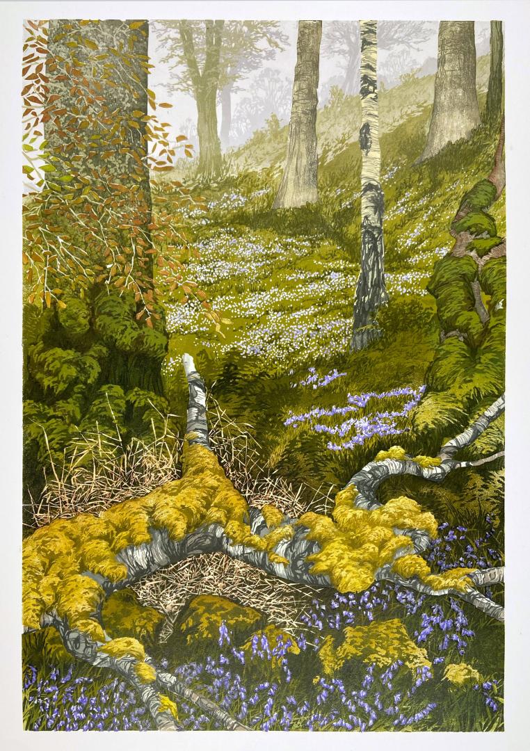 Laura Boswell - Printmaker - Print gallery archive