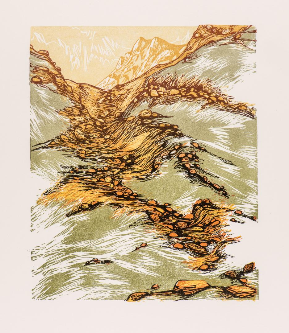 Laura Boswell - Printmaker - Print archive